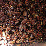 Feeding Your Soil with Mulch | Living Off Grid Guide